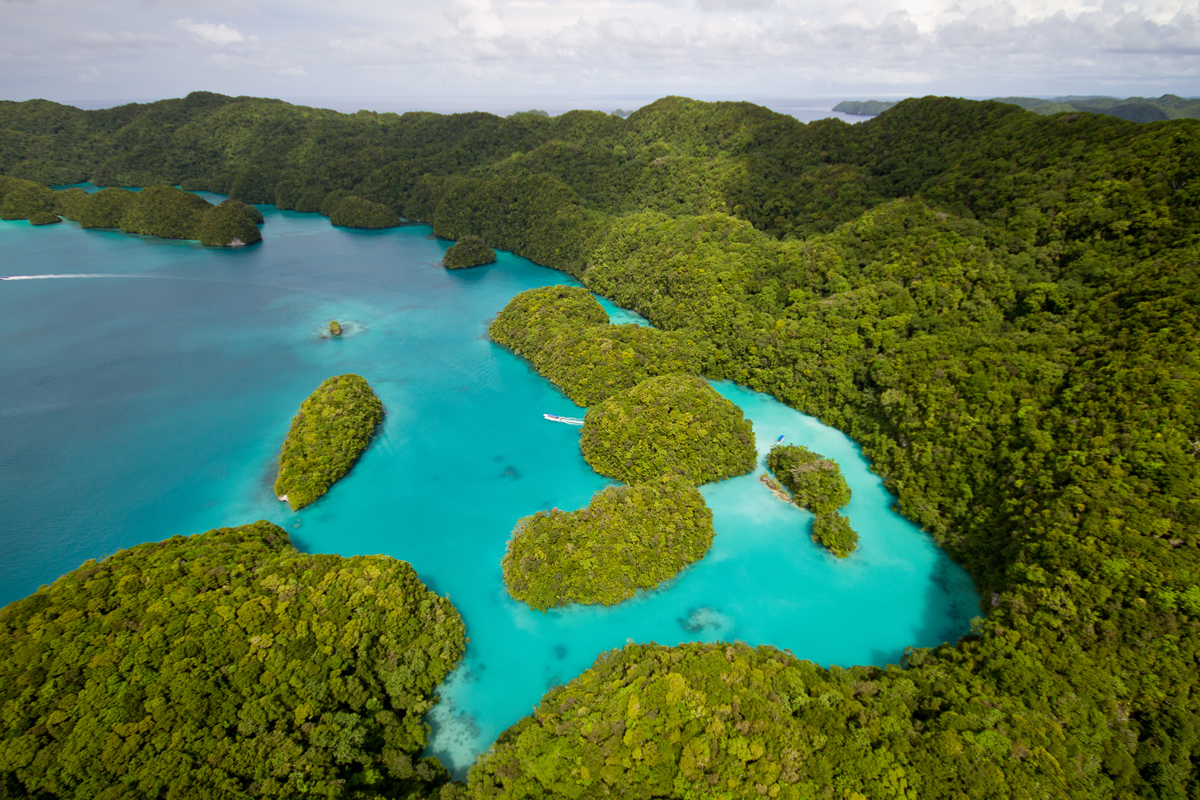Honorary Consulate of the Republic of Palau to the United Kingdom of ...